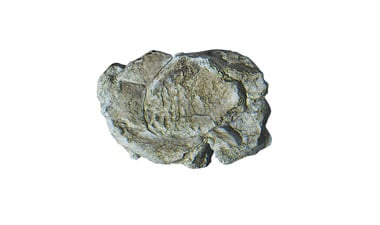 Rock Molds, Ready Rocks™, Custom & Debris - Woodland Scenics
