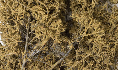 Fine-Leaf Foliage™ - Woodland Scenics