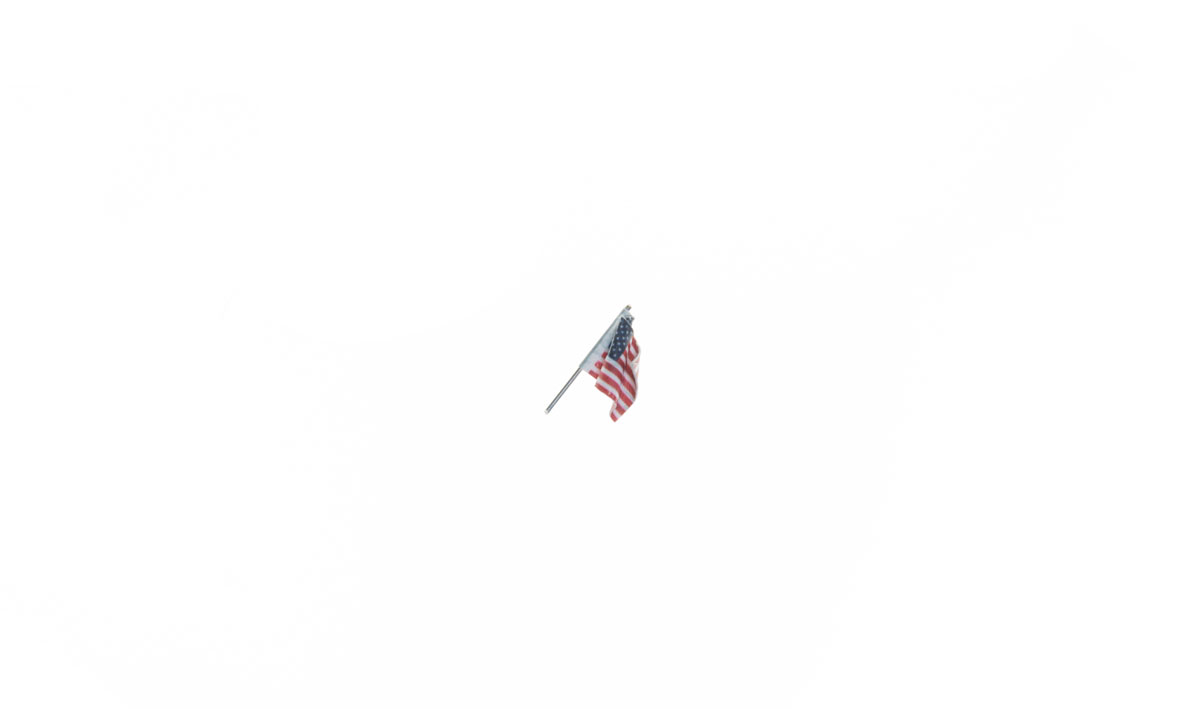 Small US Flag - Wall Mount - Woodland Scenics