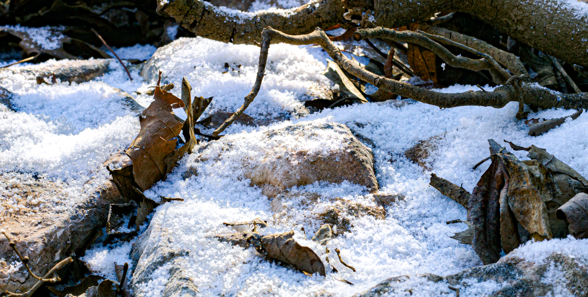 Snow Flakes - Woodland Scenics