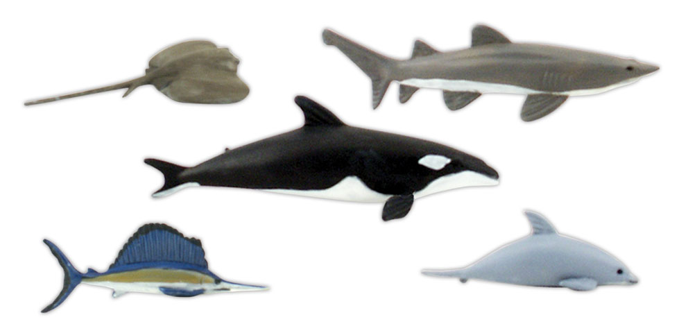 Marine Life Scene Setters® - Woodland Scenics