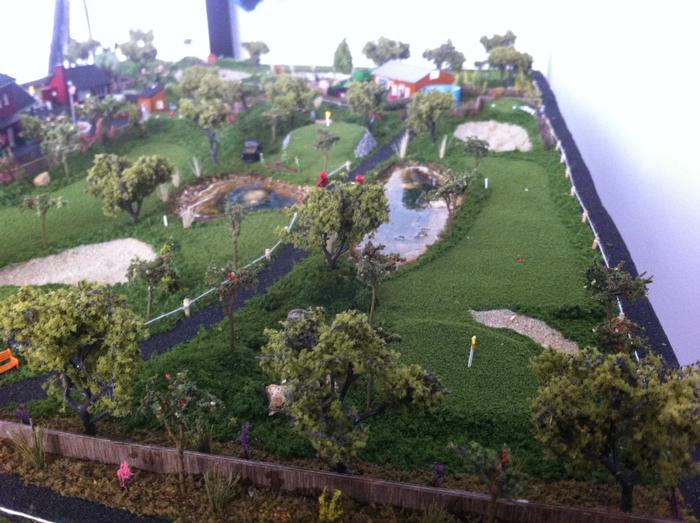 Success Story 219 - Woodland Scenics